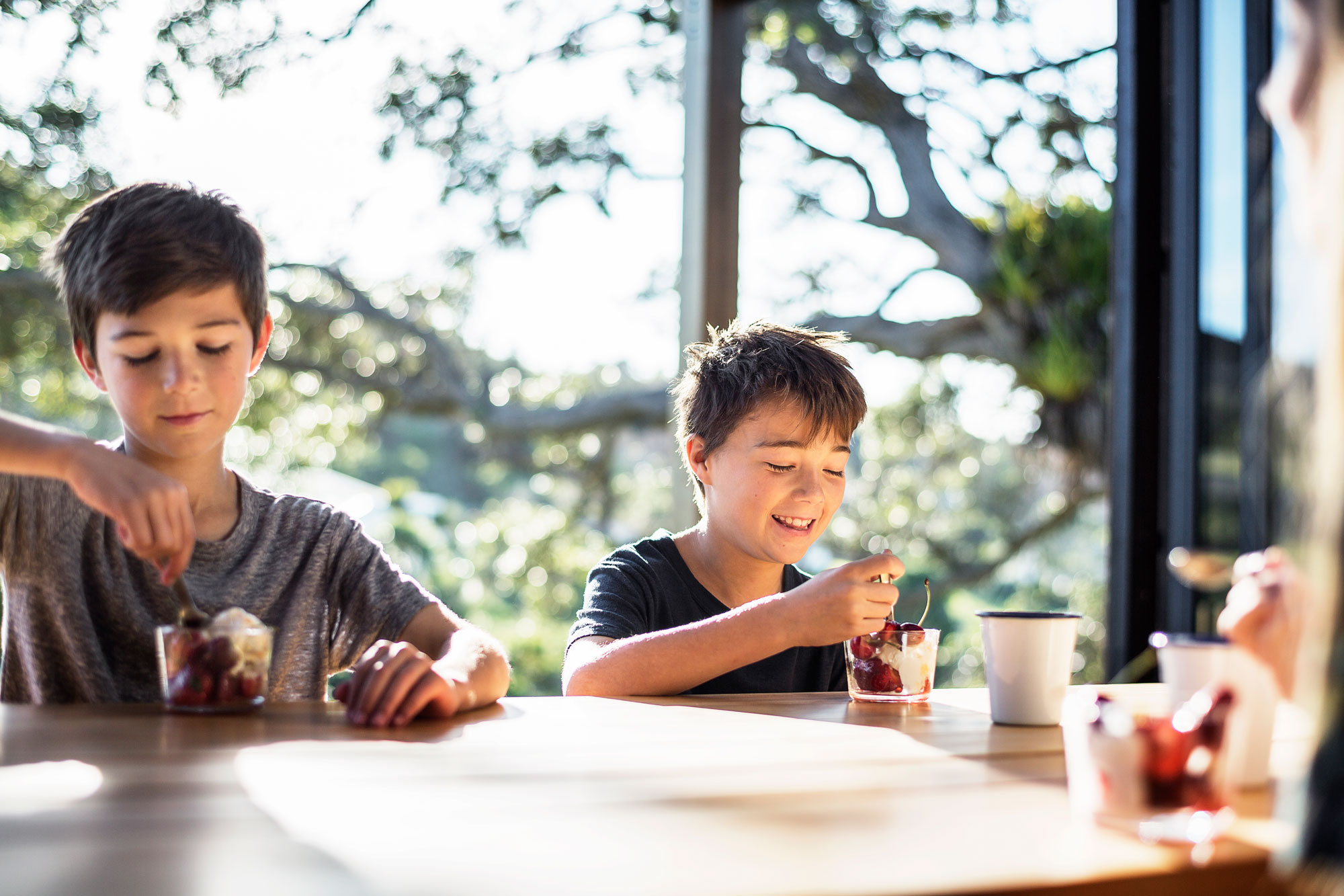 Spring Sheep New Zealand - Premium NZ Sheep Milk